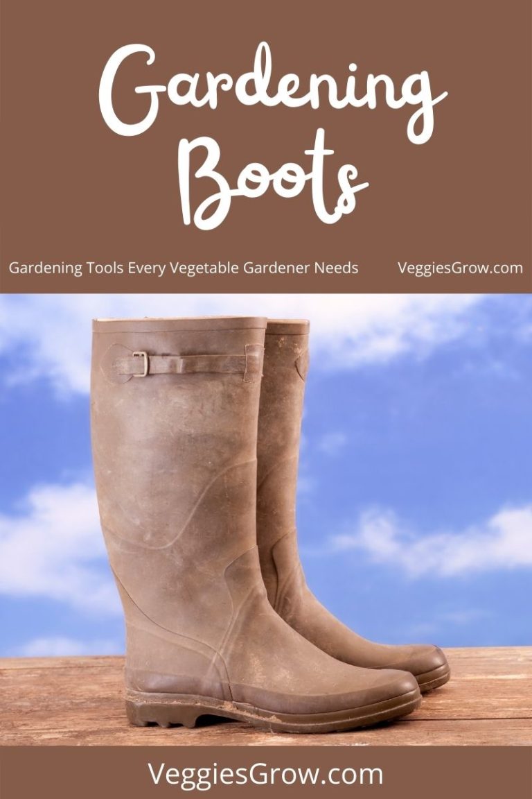 Vegetable Gardening Tools You Need To Have - Veggies Grow