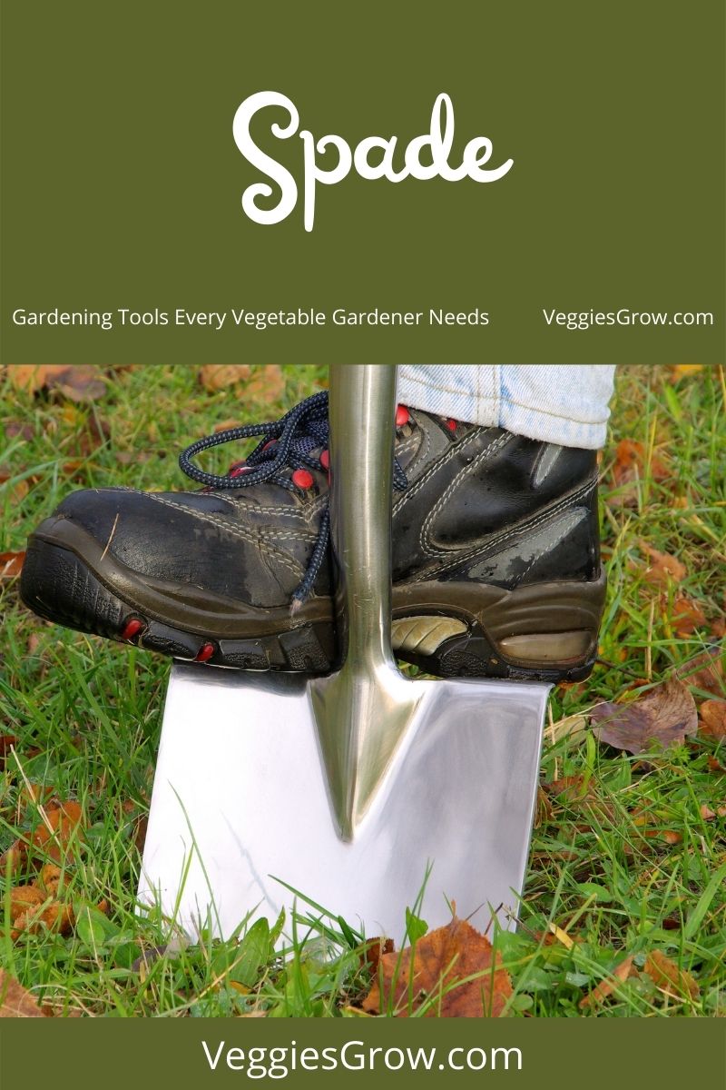 Vegetable Gardening Tools You Need To Have - Veggies Grow