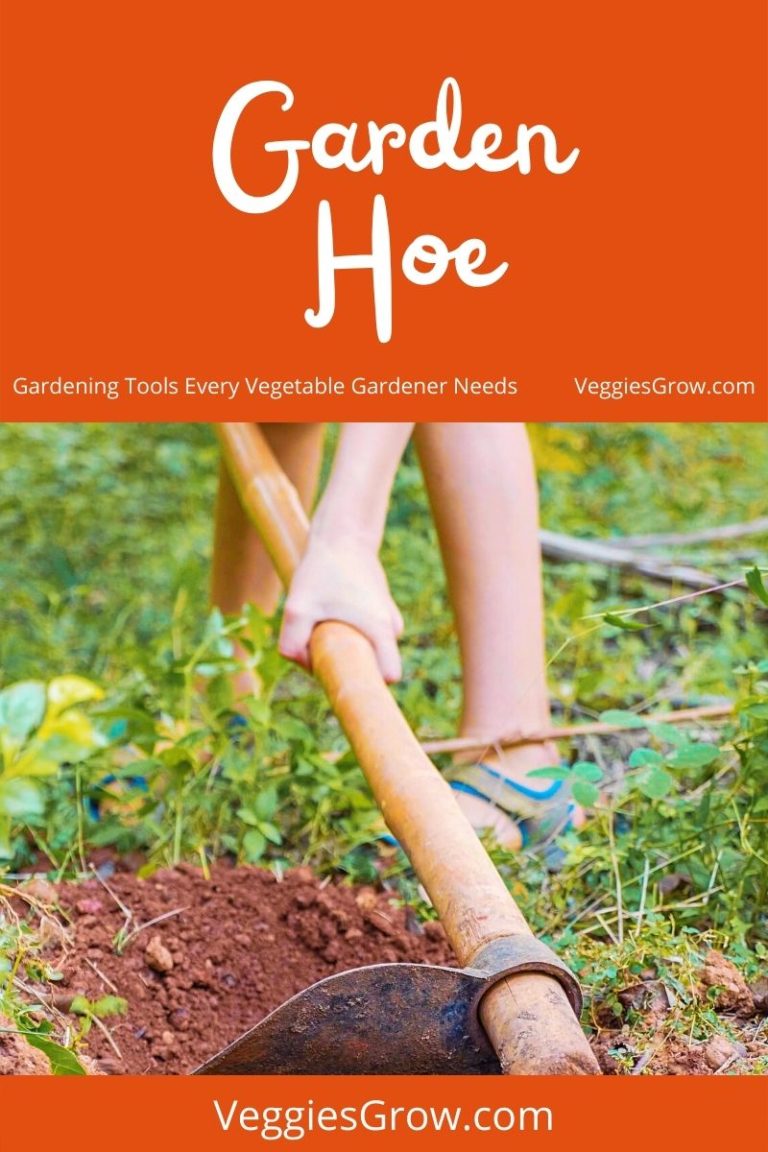 Vegetable Gardening Tools You Need To Have - Veggies Grow