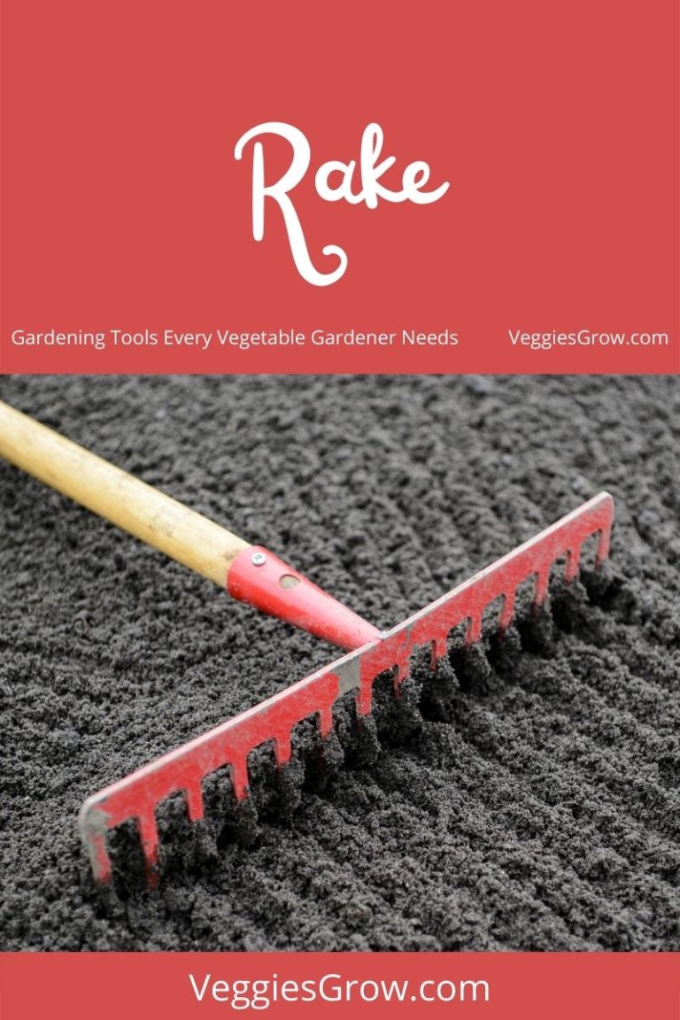 Vegetable Gardening Tools You Need To Have - Veggies Grow