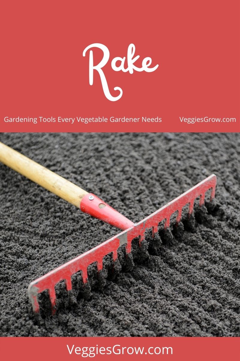 Vegetable Gardening Tools You Need To Have - Veggies Grow