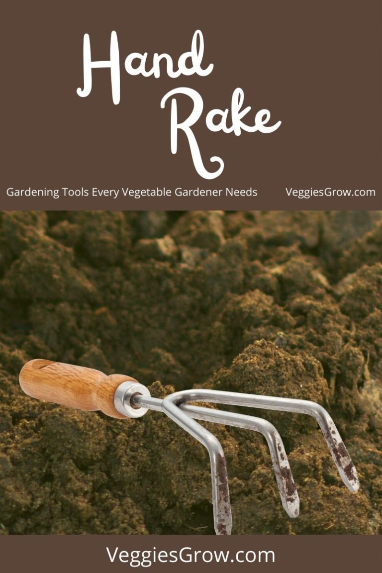 Vegetable Gardening Tools You Need To Have - Veggies Grow